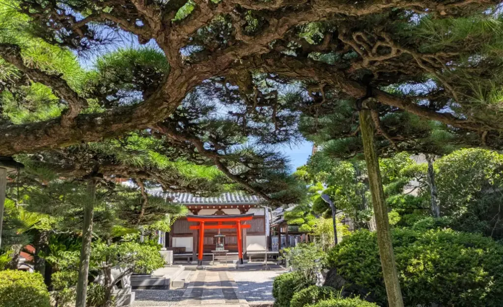 Izumisano｜Myojoji Temple｜Temple Visit｜Shinbutsu-Shugo｜Izumisano Tourism ...
